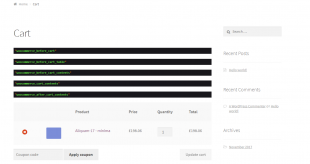 WooCommerce Hooks Guide: Full List and Examples